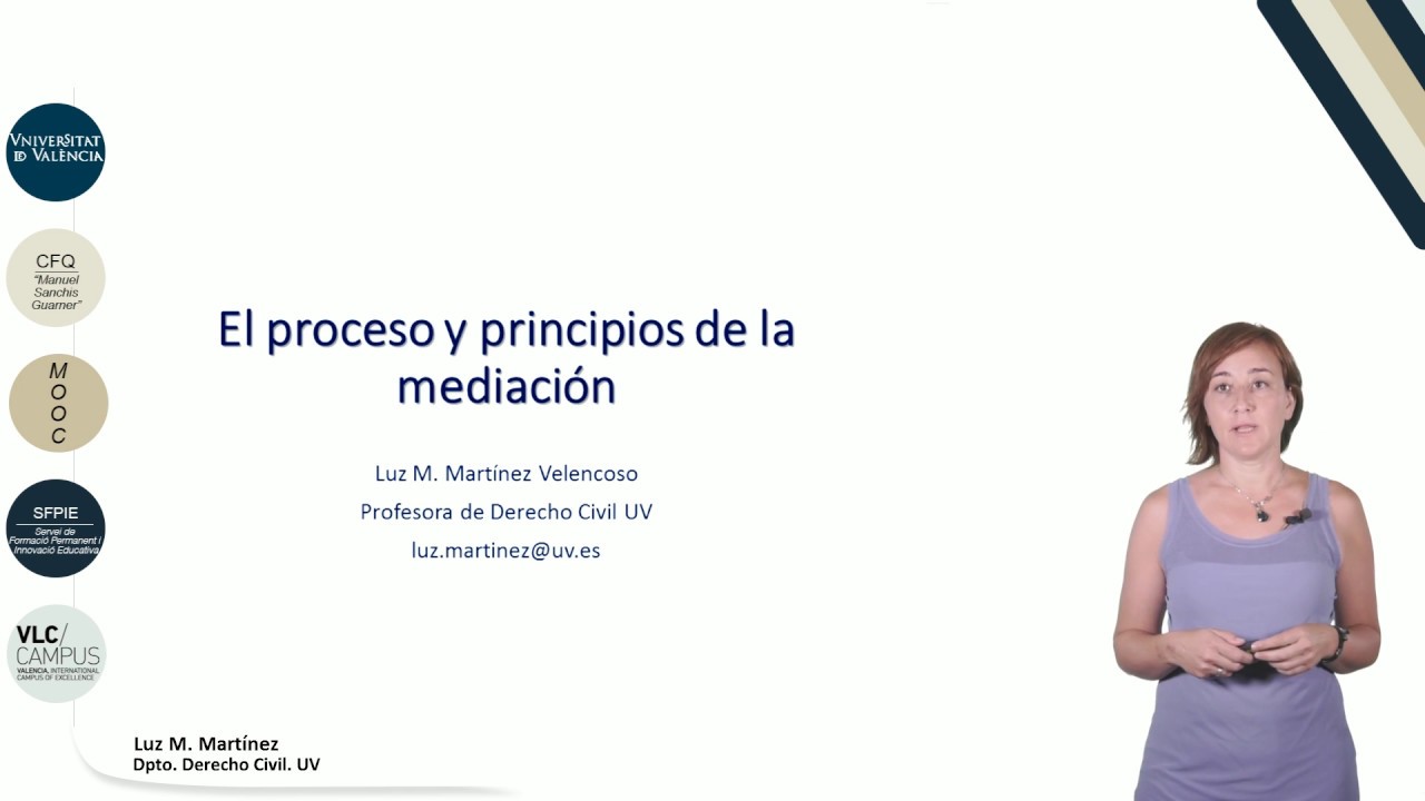 2.0. El proceso y principios de la mediación