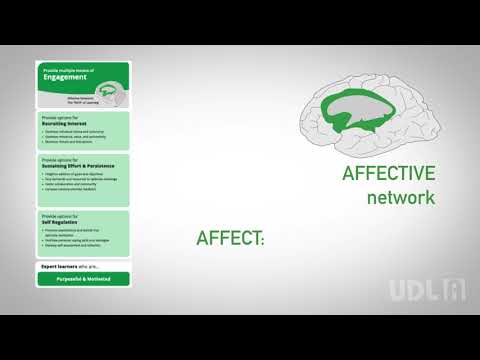 Universal Design for Learning | Inclusive Education