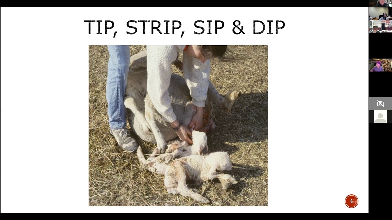 Small Ruminant Webinar Series 2/12/2020