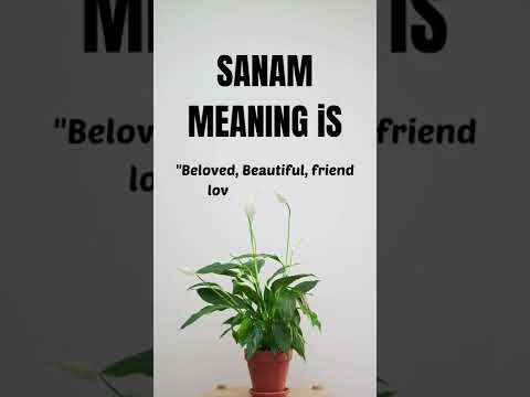 SANAM NAME MEANING || #sanamname#muslimgirlnames#shorts