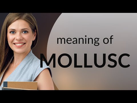 Mollusc • MOLLUSC meaning