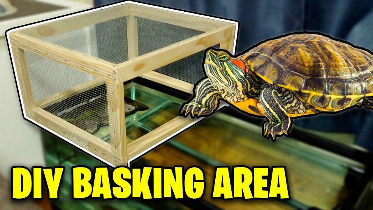 How To Make an Above Tank Basking Area for Turtles!
