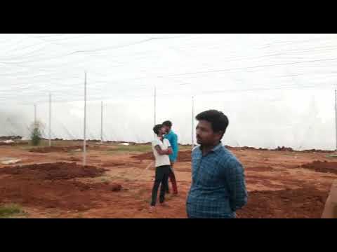 Net House at Best Price in India