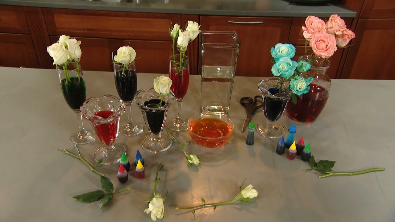 iQ Smartparent Special Webisode: Inspiring Pre-School Scientists