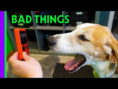 Walmart's $10 bootleg Gameboy plays NES games