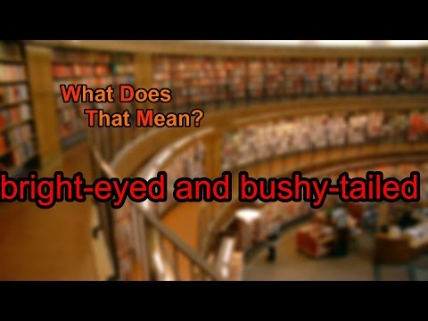 What does bright-eyed and bushy-tailed mean?
