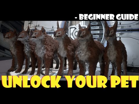 How To Unlock Your First Pet Kubrow | Warframe Guide For Beginners | New Graphics