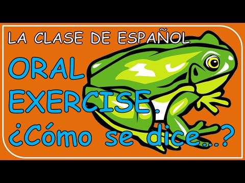 Animals (How do you say...) / Los animales