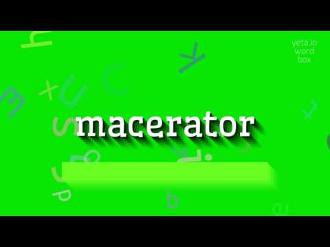 How to say "macerator"! (High Quality Voices)