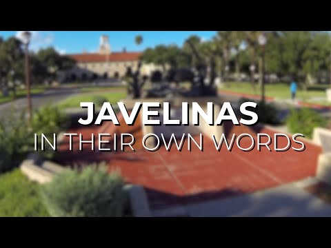 Javelinas In Their Own Words: Alumni Spotlight - Psychology and Sociology