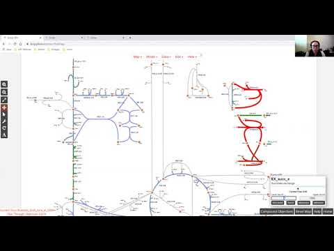 Lecture 14 - FBA Modelling Demo
