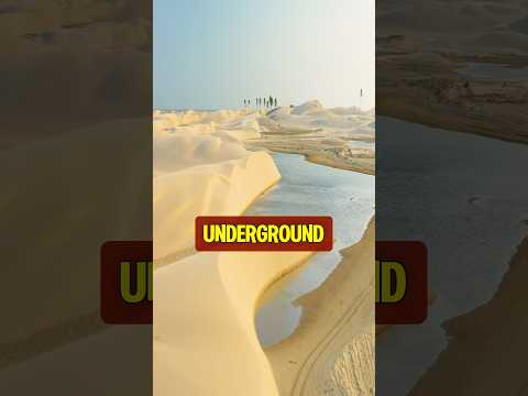 Sahara Desert Mysteries: Facts You Won't Believe! 🌵🐪