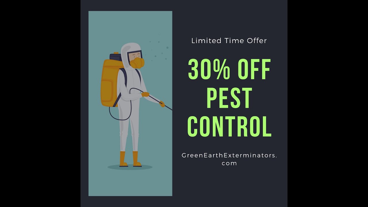 Save 30% On Pest Control With Green Earth Exterminators - Texas