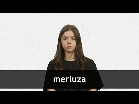 Traducción en inglés de “MERLUZA” | Collins Diccionario español-inglés