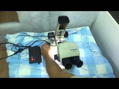 OLYMPUS SZ51 STEREO MICROSCOPE & Dimming Ring LED Illuminator