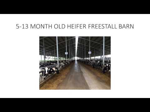 52nd UF Dairy Production Conference - Eric Diepersloot (Full Circle Dairy)