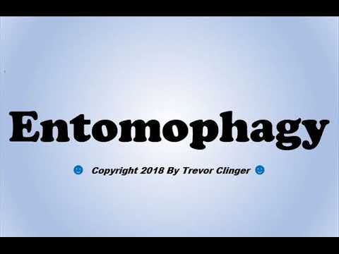 How To Pronounce Entomophagy