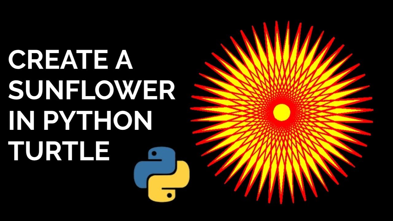 Python turtle - Creating Sunflower | Python turtle tutorial | Code Problem