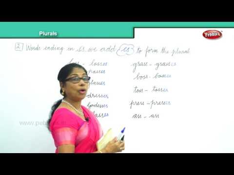 Plural Part -1 | Learn English Words for Kids | Vocabulary for Beginners
