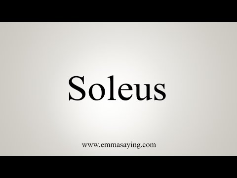 How To Say Soleus