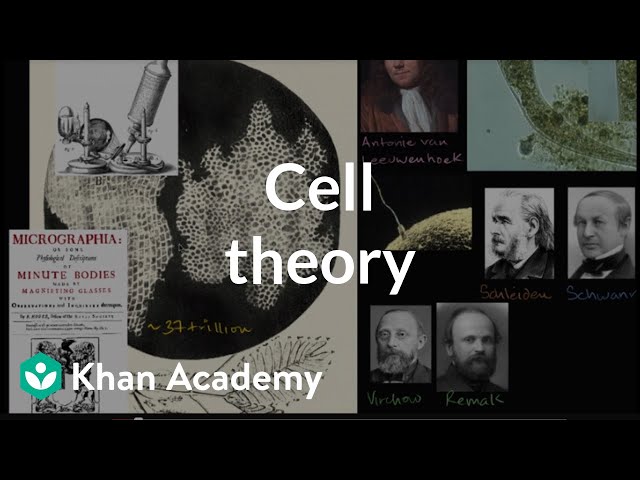 The Evolution of Cell Theory: From Hooke to Modern Understanding ...