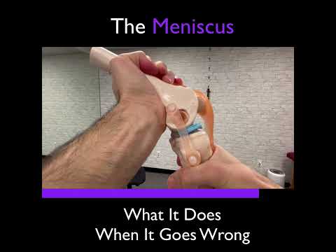 The Meniscus