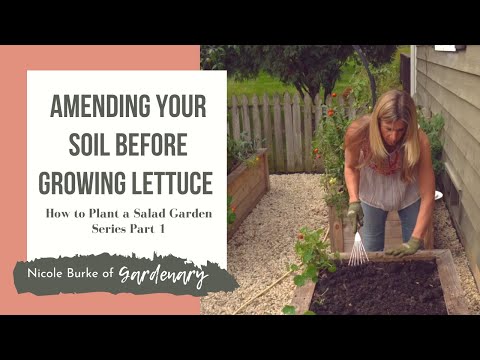 Amending Your Soil Before Growing Lettuce - How to Plant a Salad Garden Series Part 1