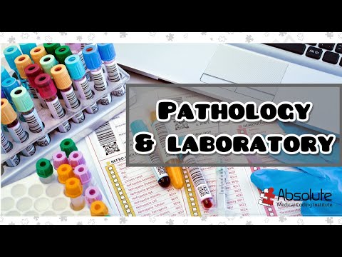 Pathology and Laboratory CPT Medical Coding for the CPC and CCS Exams