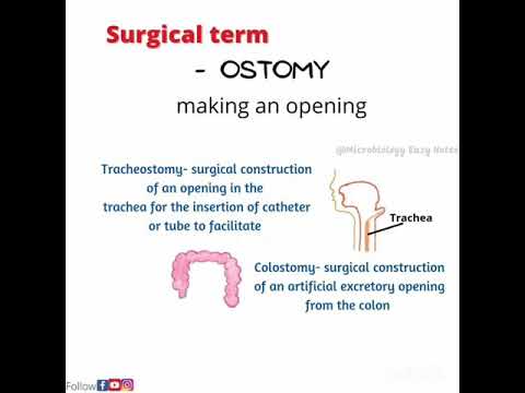 surgical terms #microbiologyeasynotes #shorts #microbiology