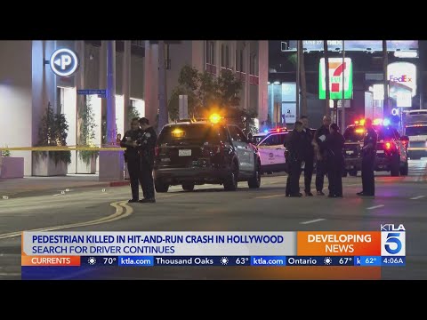 Woman killed in Hollywood hit-and-run; search continues for driver