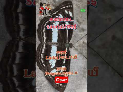 Fight Meaning#Shorts #ladai #pubg  #fight