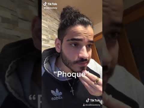 Hey Siri, how do you say seal in French? TikTok