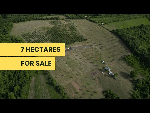 🏡 FOR SALE: 7 HECTARE ECO-FARM IN SERBIA | 1800 Fruit Trees Orchard | Off-Grid Estate | Kragujevac