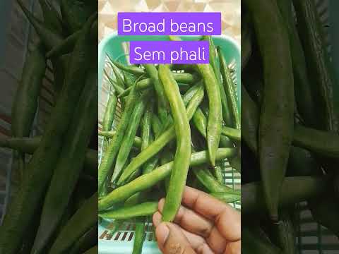 Broad beans in hindi #learnhindi#vegetables #youtubeshorts #shorts