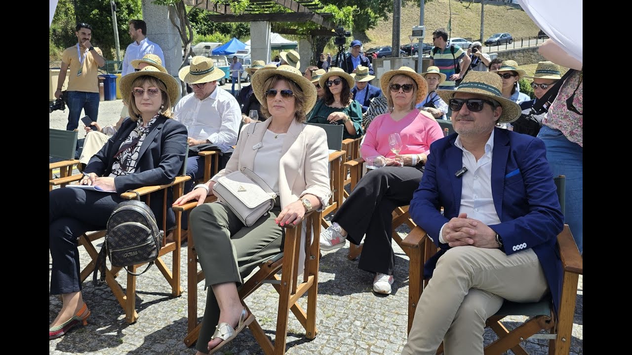 Baião celebra a casta Avesso com evento festivo sobranceiro ao rio ...