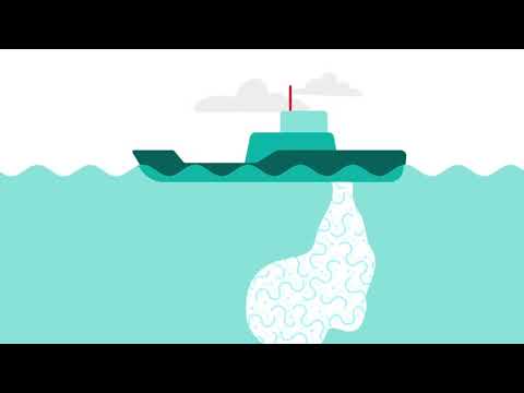 What are invasive species?