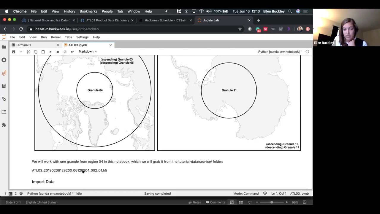 ICESat-2 2020: Ellen Buckley - Sea Ice Applications