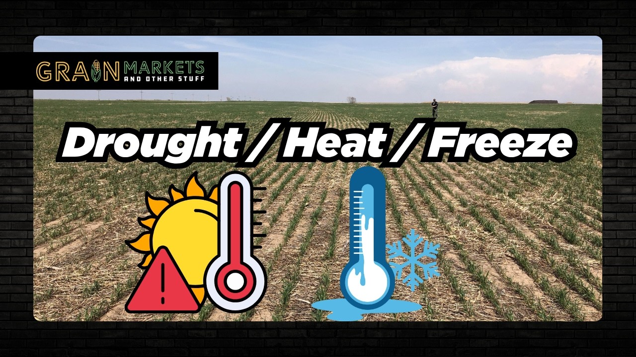 TERRIBLE US HRW Wheat Ratings + Slow Iowa Corn Planting