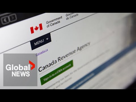 TurboTax glitch leaves Canadians owing thousands to CRA