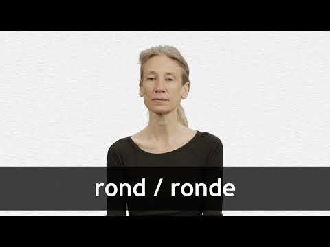 English Translation of “ROND” | Collins French-English Dictionary