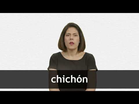 English Translation of “CHICHÓN” | Collins Spanish-English Dictionary