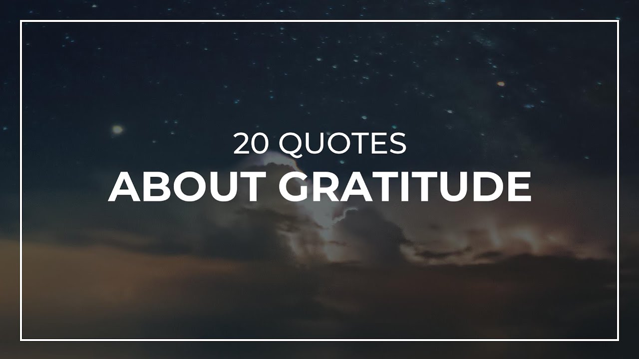 20 Quotes about Gratitude | Motivational Quotes | Most Popular Quotes