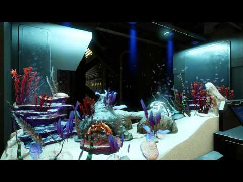Steam Community :: Video :: Star Citizen - Fish Tank