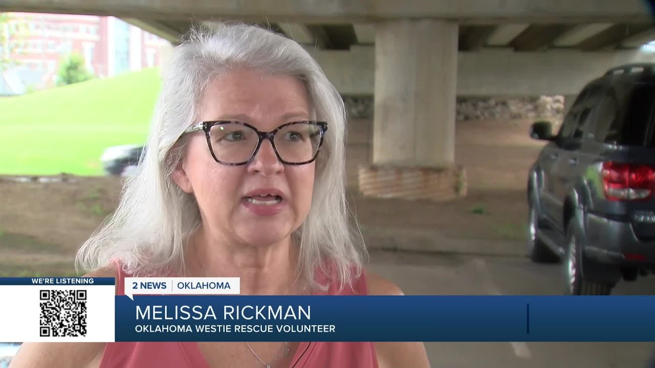 'It's pretty rough looking:' Conditions at Stroud breeding facility go viral