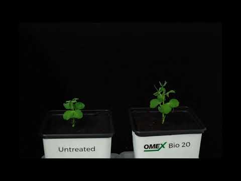Benefits of Bio 20