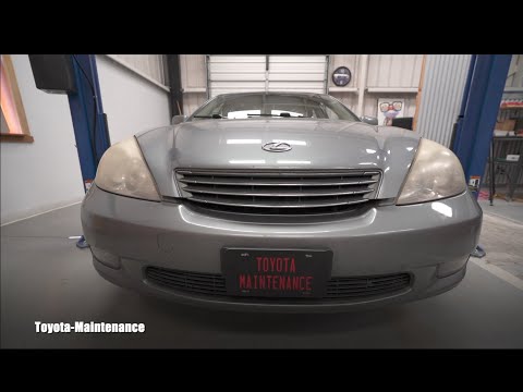 Need a Great Automotive Service? Find a Specialist.