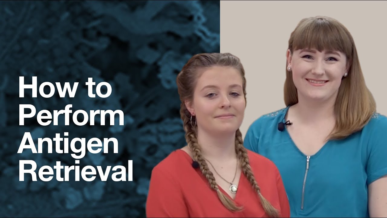 How to perform Antigen Retrieval (AR) in Immunohistochemistry (IHC)  | CST Tech Tips