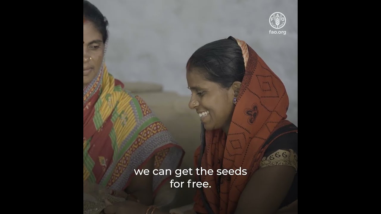 A taste of finger millet