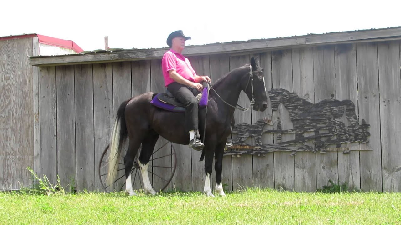 ROWDY REARING ON COMMAND