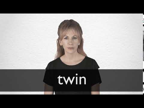TWIN definition and meaning | Collins English Dictionary